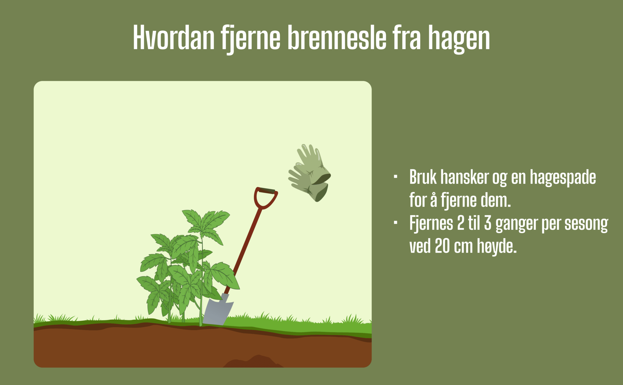 Fjerne ugress – Råd til effektiv luking | Plantinavia Norge