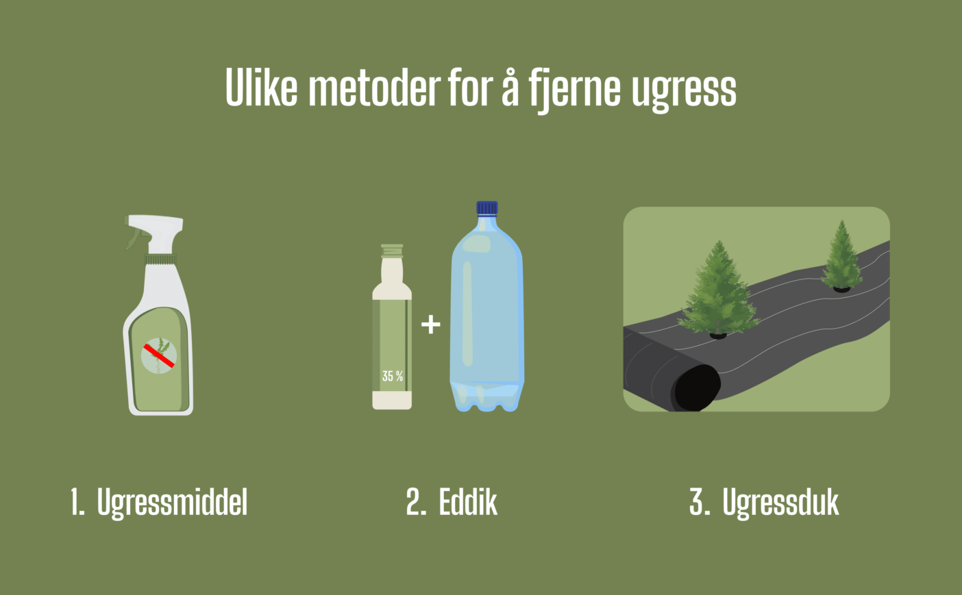 Fjerne ugress – Råd til effektiv luking | Plantinavia Norge